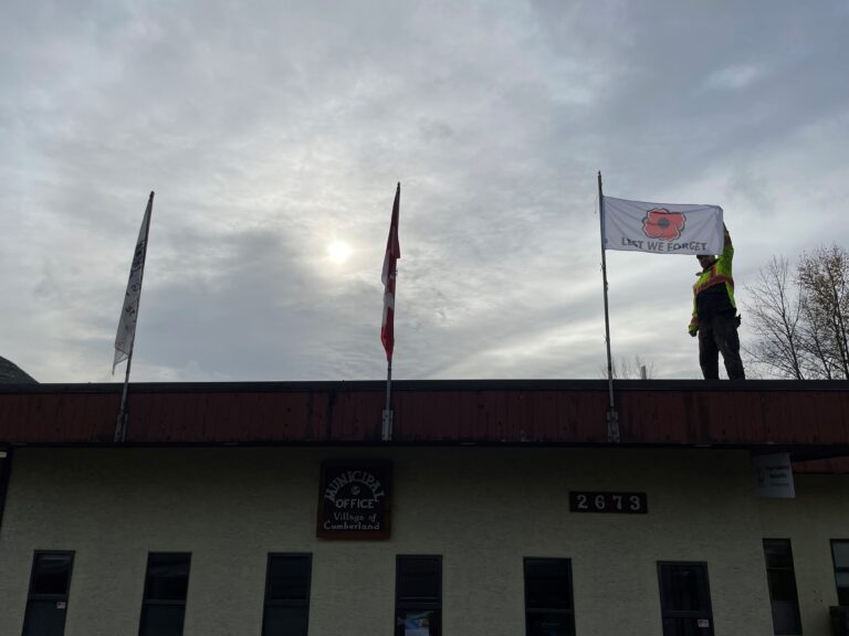 Legion Poppy Flag Raising and Traffic Notice: November 11 – The Village ...